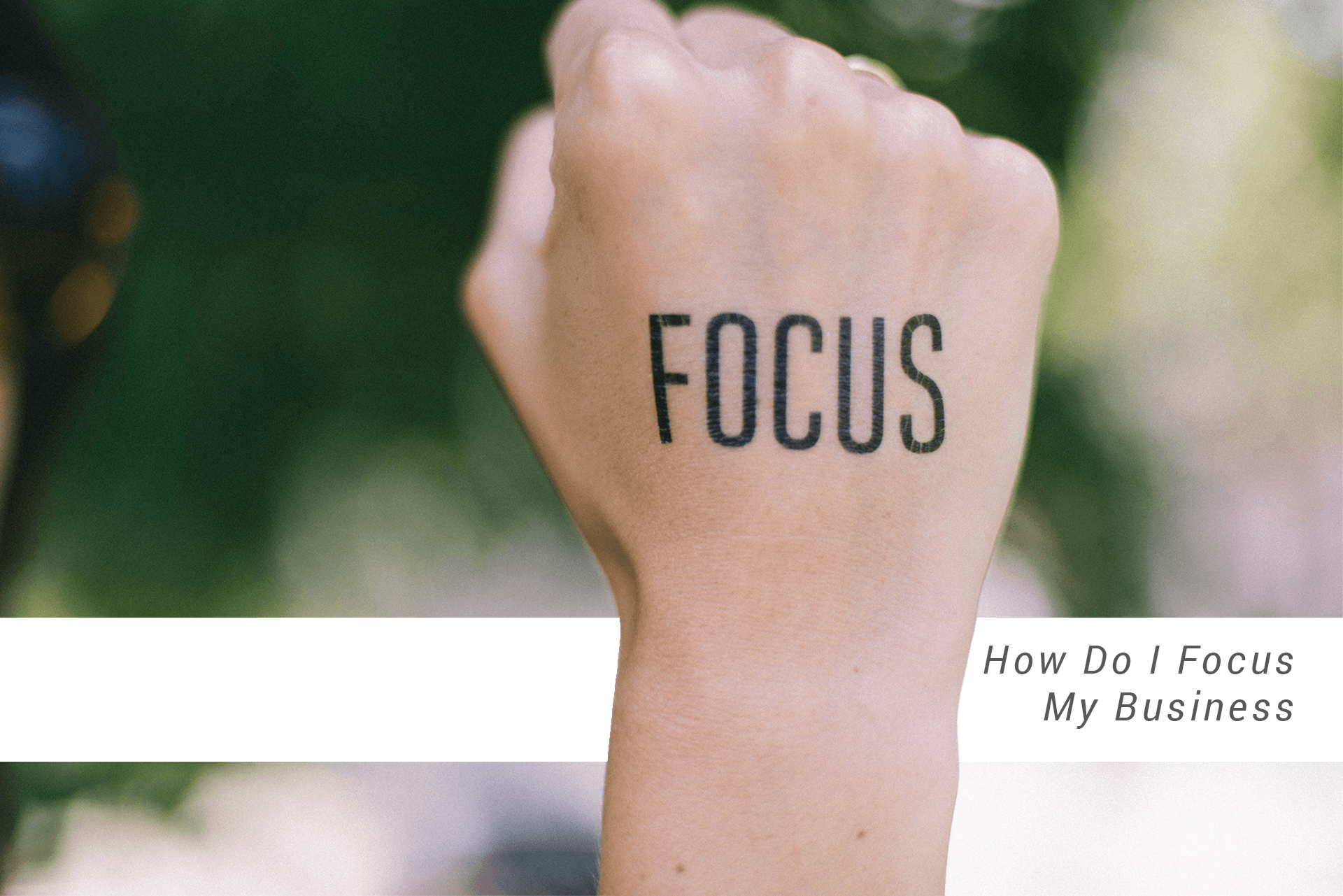 How Do I Focus on Growing My Business?